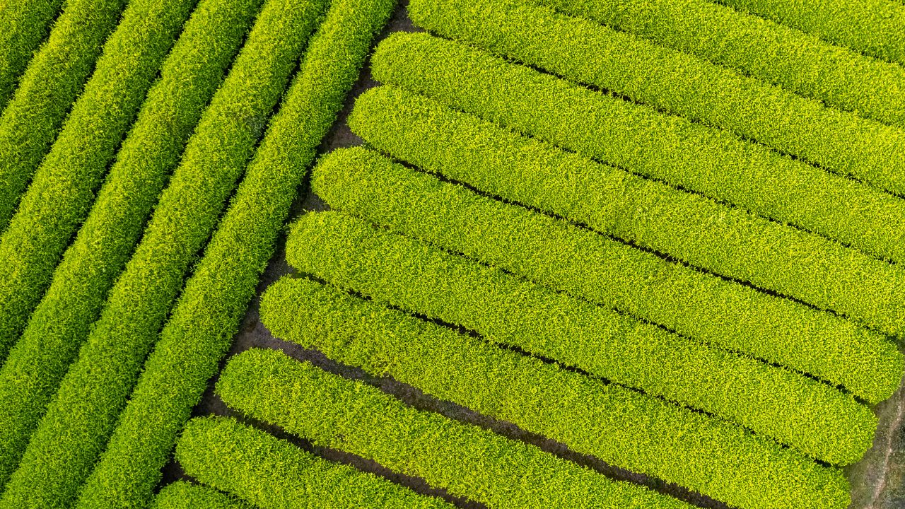 CGI s'associe à l'Agence américaine pour la protection de l ...